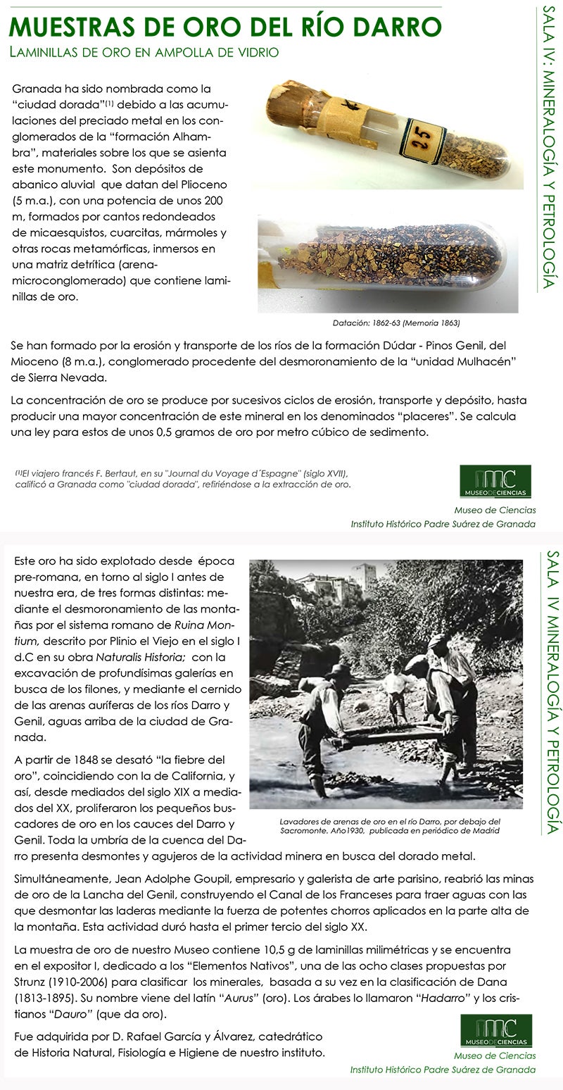 Los ‘tesoros’ de las salas de biología y geología del Museo Suárez (6 ...